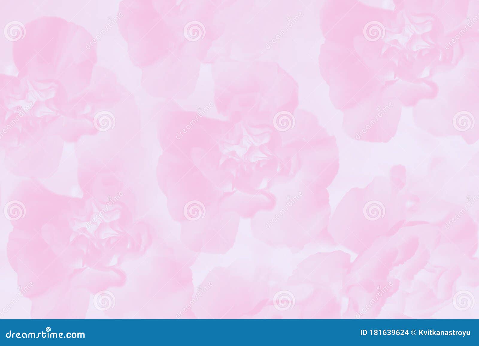Floral Carnation Flowers Pattern. Light Pink Background Stock Photo ...