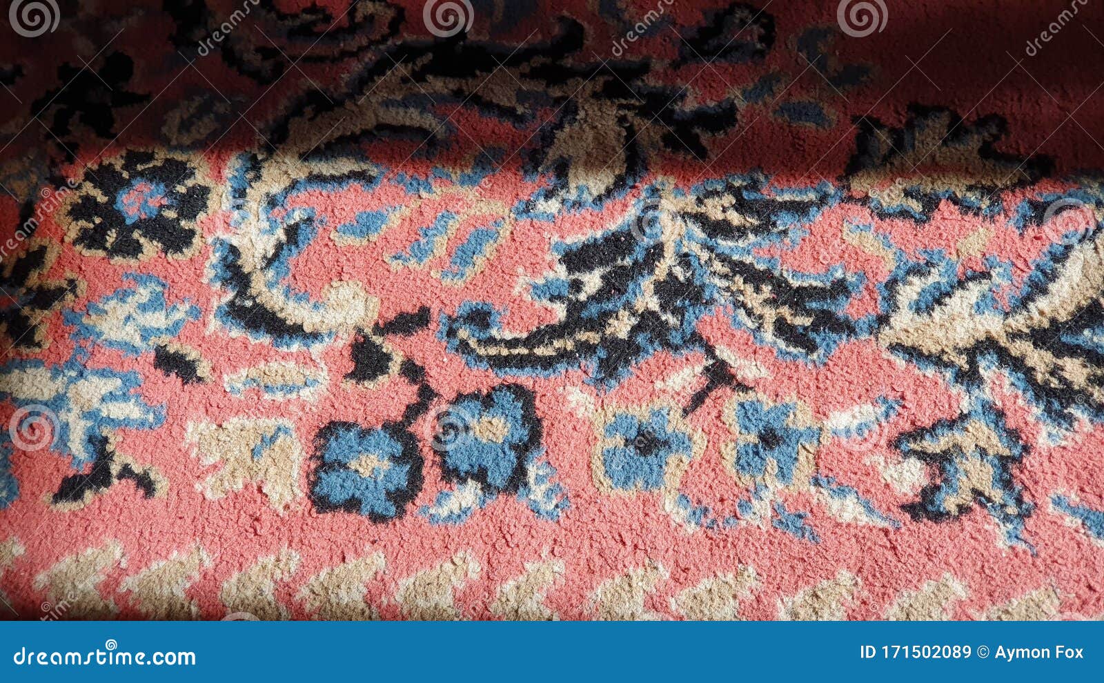 Floral Carpet Shadows stock image. Image of carpet, natural - 171502089
