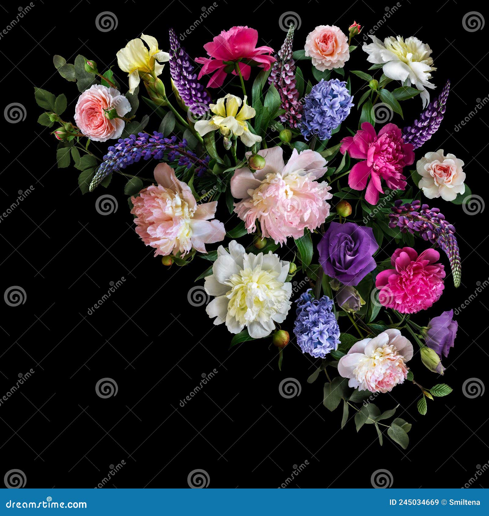 Floral Collage on Black Background. Stock Image - Image of flower ...