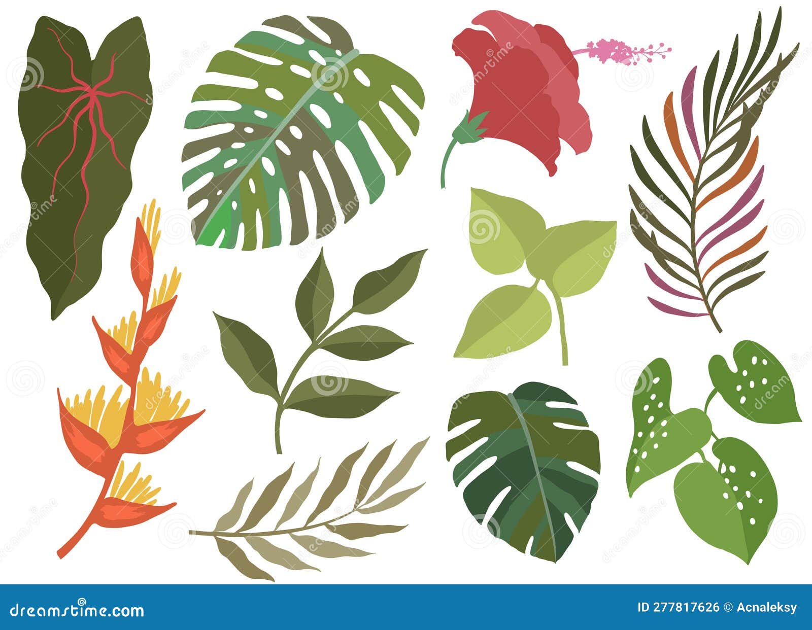 Floral Collection. Set of Simple Tropical Flowers Stock Vector ...