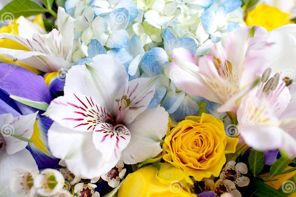 Floral Color Mix Background with Selective Focus Stock Image - Image of ...