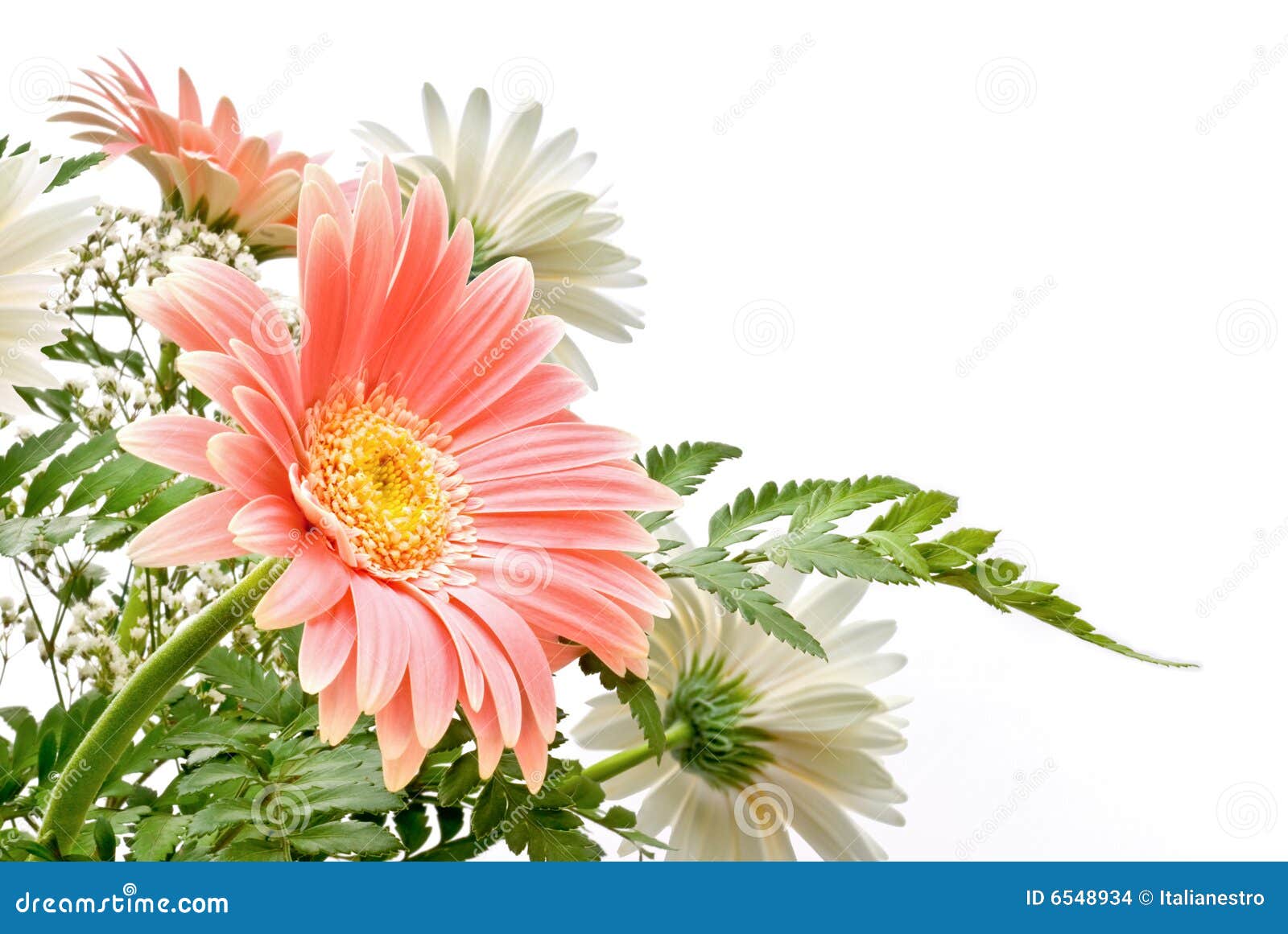 Floral composition stock photo. Image of artwork, lovers - 6548934
