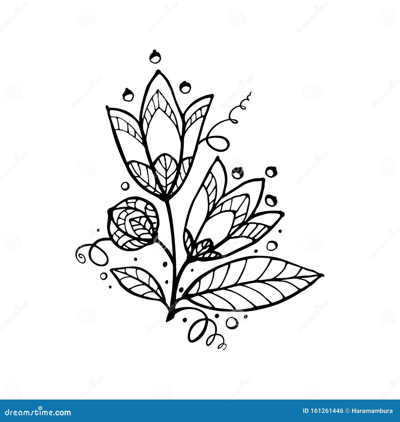 Floral composition stock vector. Illustration of greenery - 161261446