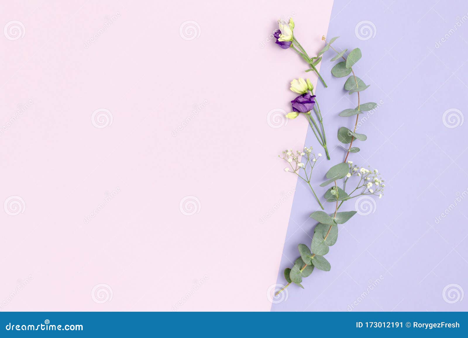 Floral Composition on a Purple Background Stock Image - Image of flat ...