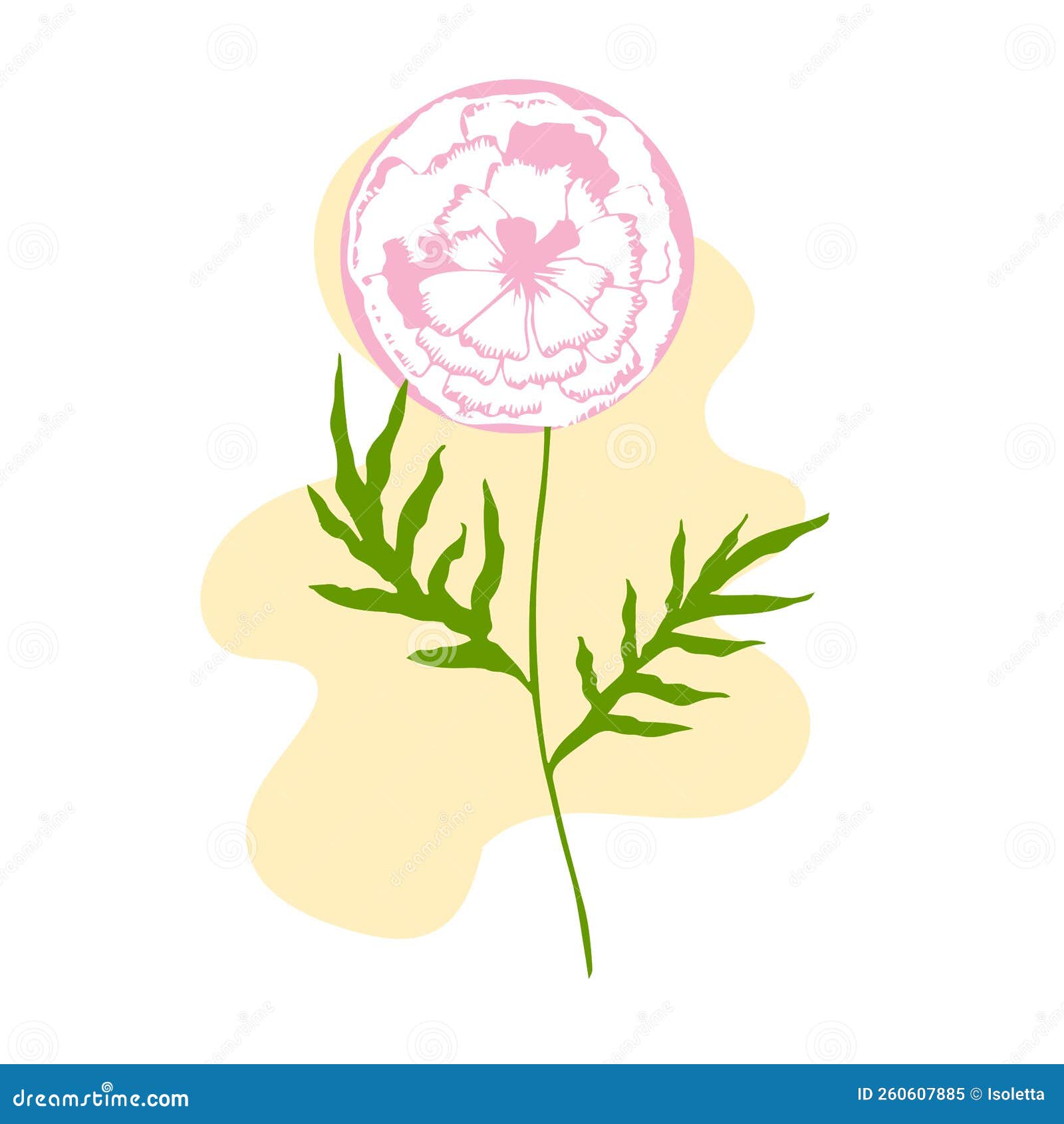 Floral Composition. Vector Illustration. Single Flower Stock Vector ...