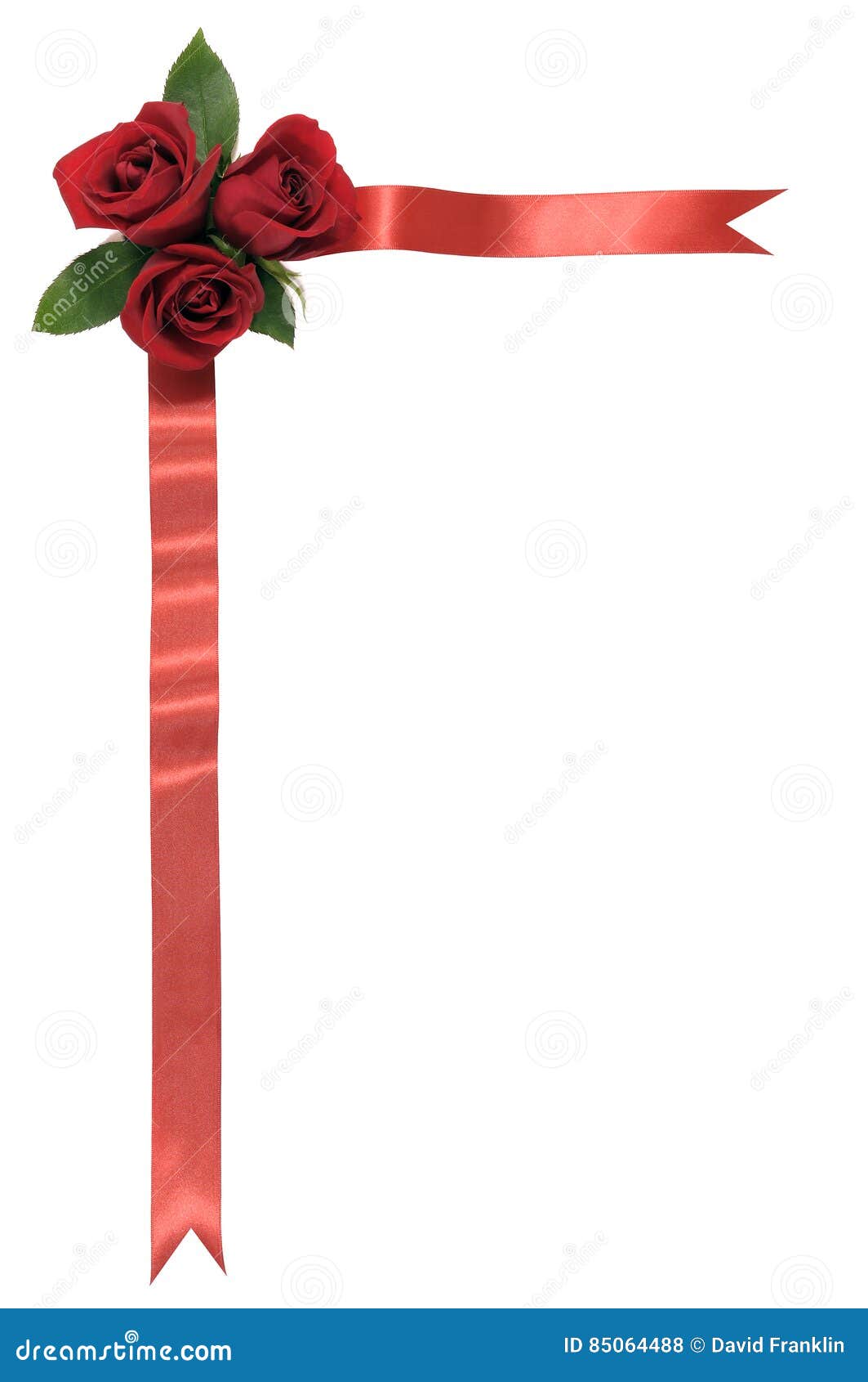 Red Roses Corner Border