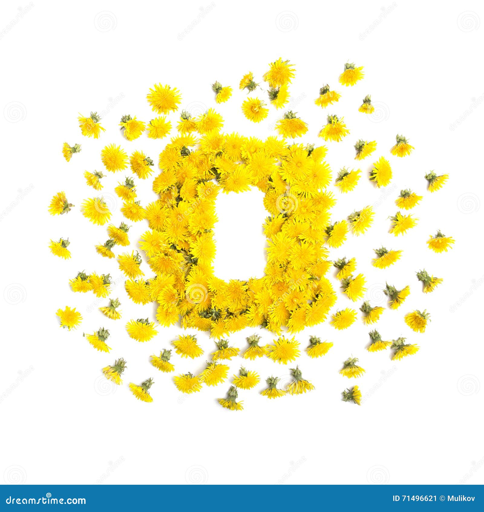 Floral Dandelion Border on White Stock Image - Image of anniversary ...