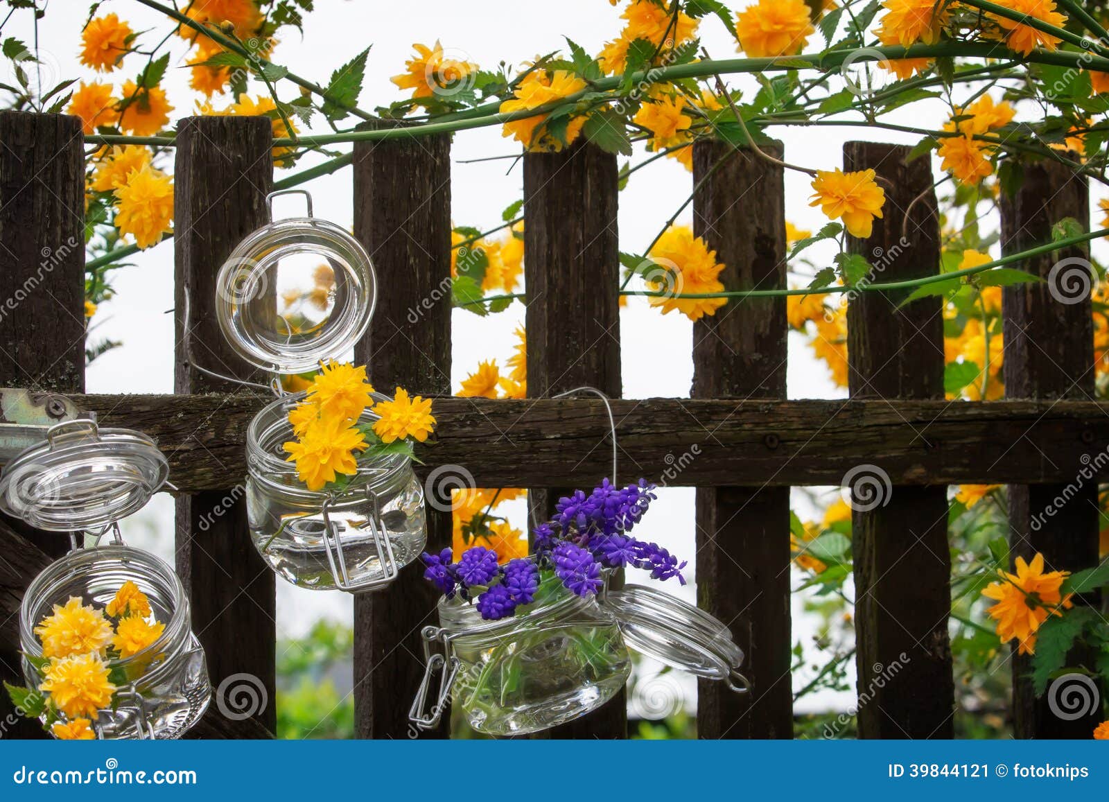 Floral Decoration at the Garden Gate Stock Image - Image of gate ...