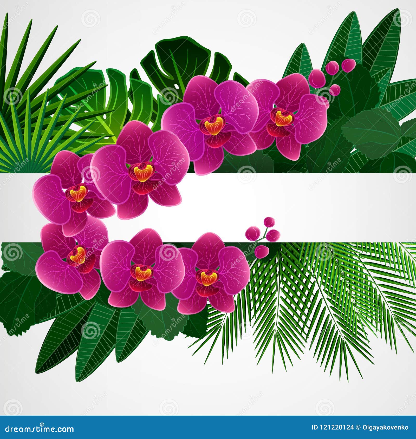 Floral Design Background. Orchid Flowers Stock Vector - Illustration of ...
