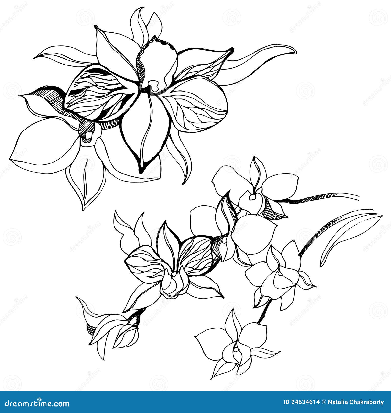 Unshaded Stock Illustrations – 653 Unshaded Stock Illustrations ...