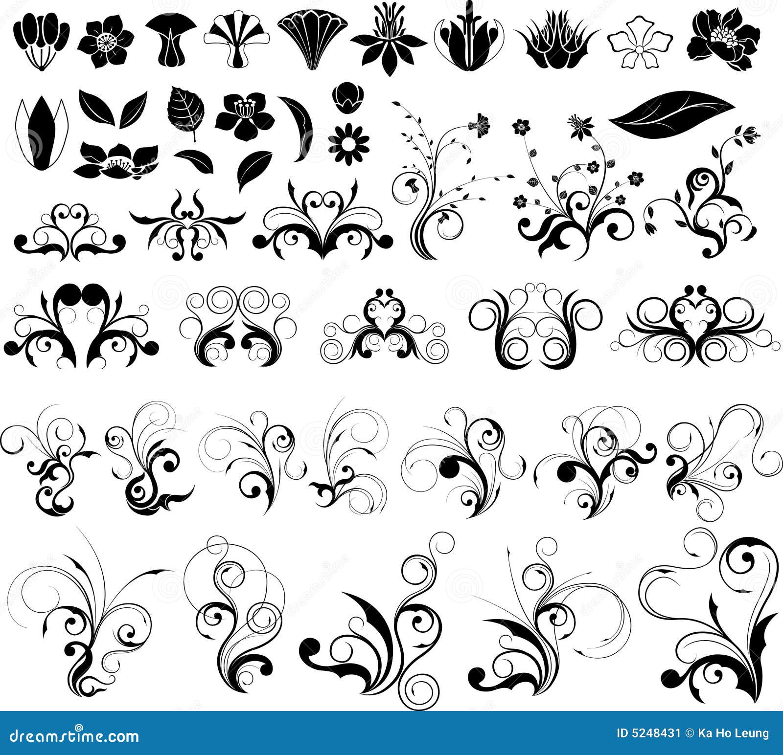 Floral design elements stock vector. Illustration of elegance - 5248431