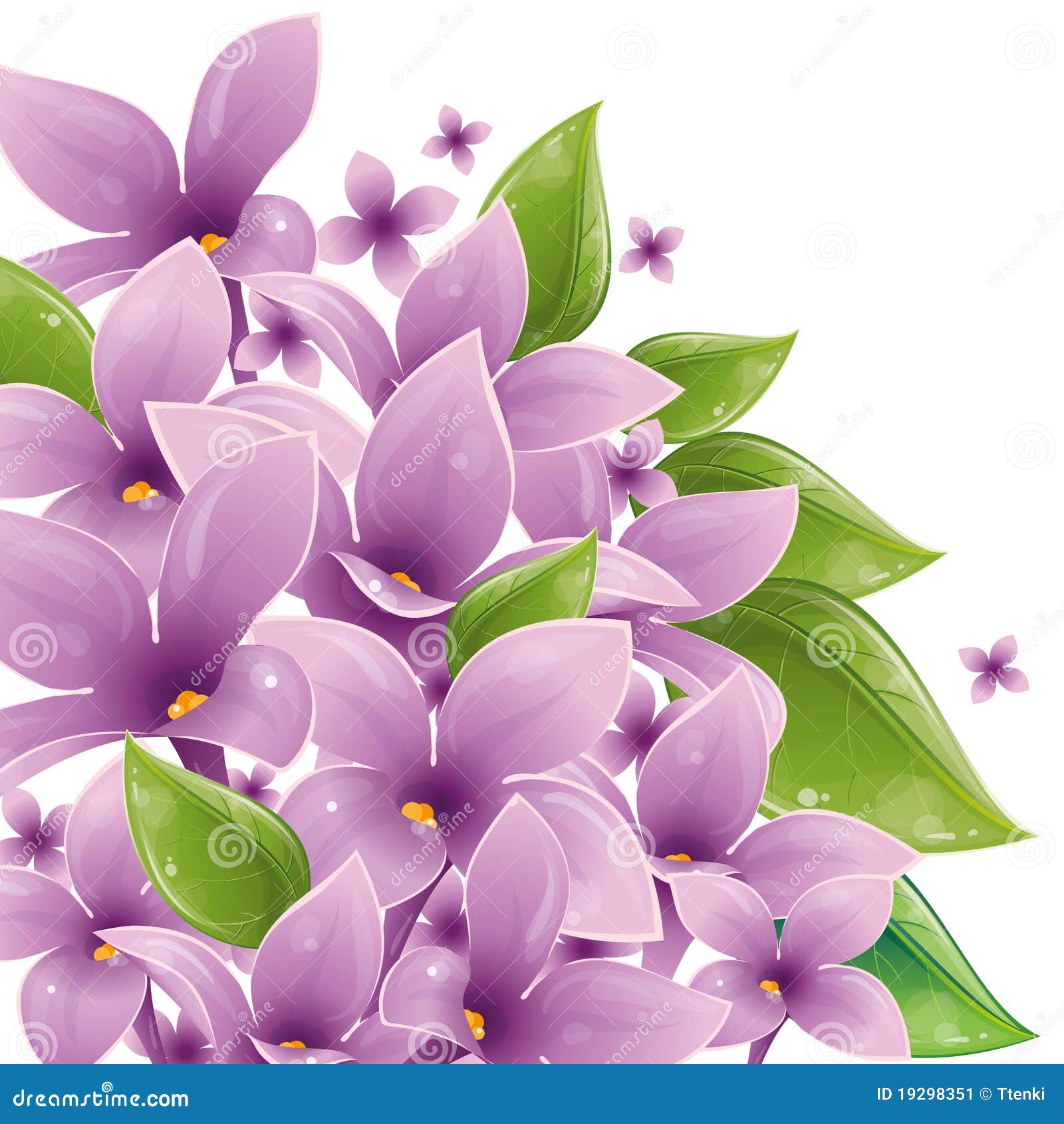 Floral design with lilac stock vector. Illustration of isolated - 19298351