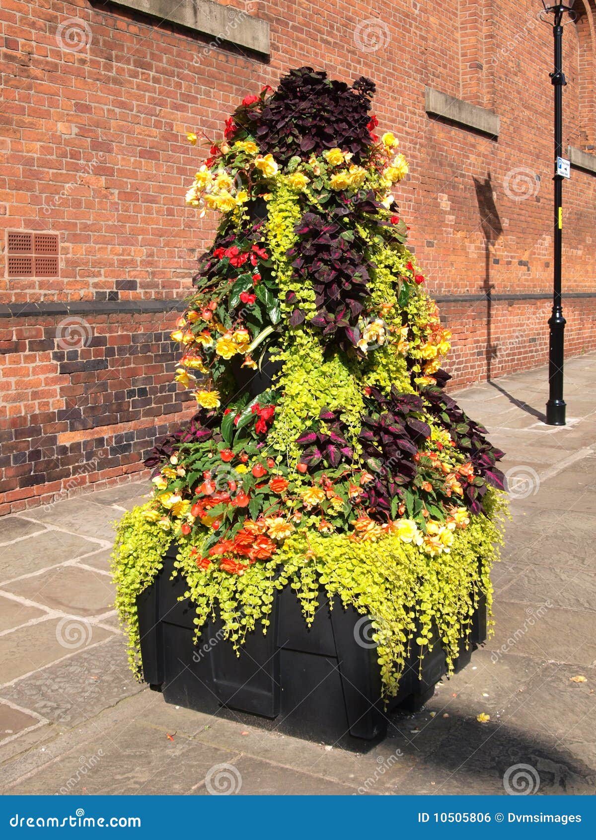 Floral display stock photo. Image of street, urban, city - 10505806
