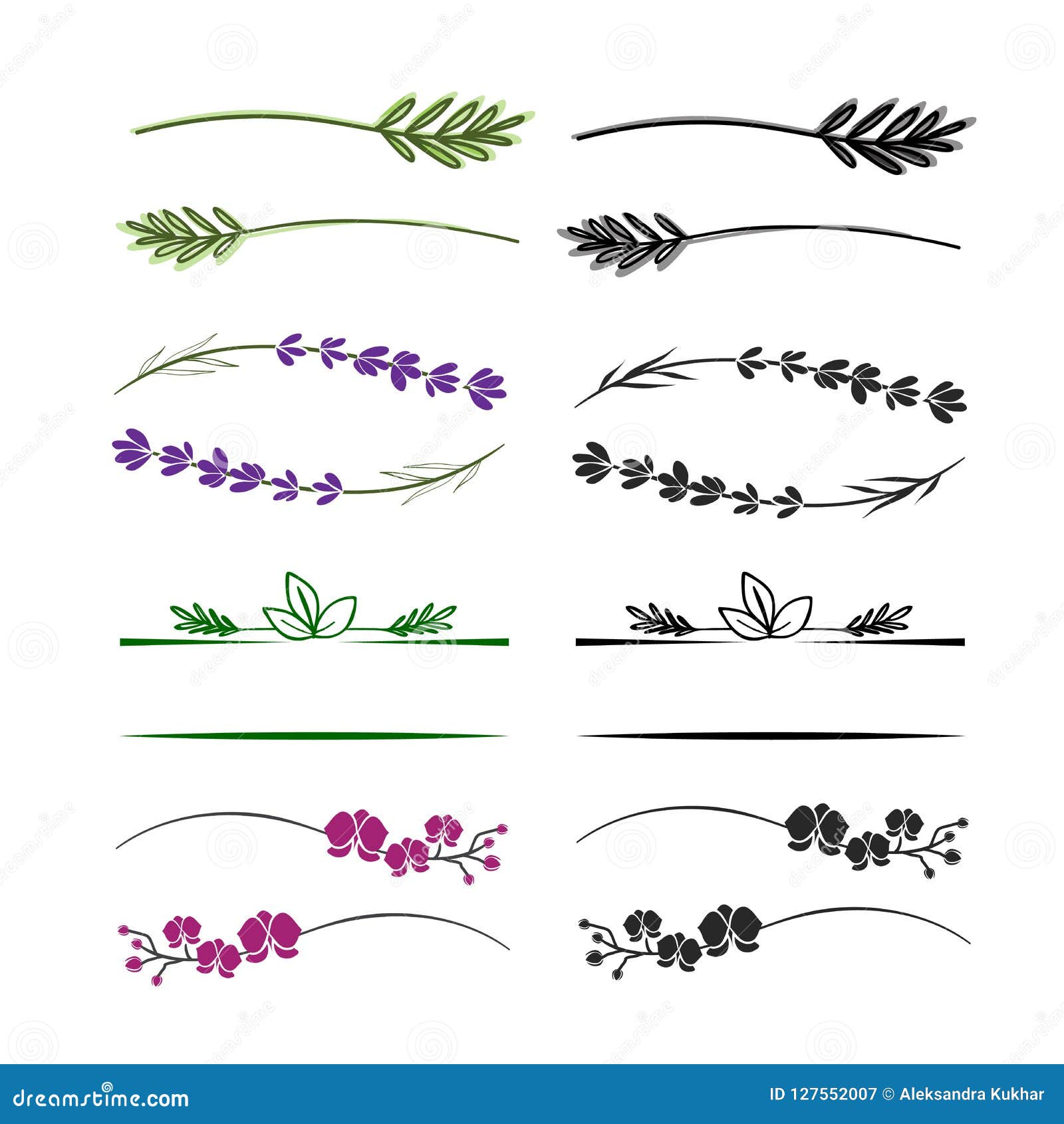 Floral Divider and Border Elements Set Stock Vector - Illustration of ...