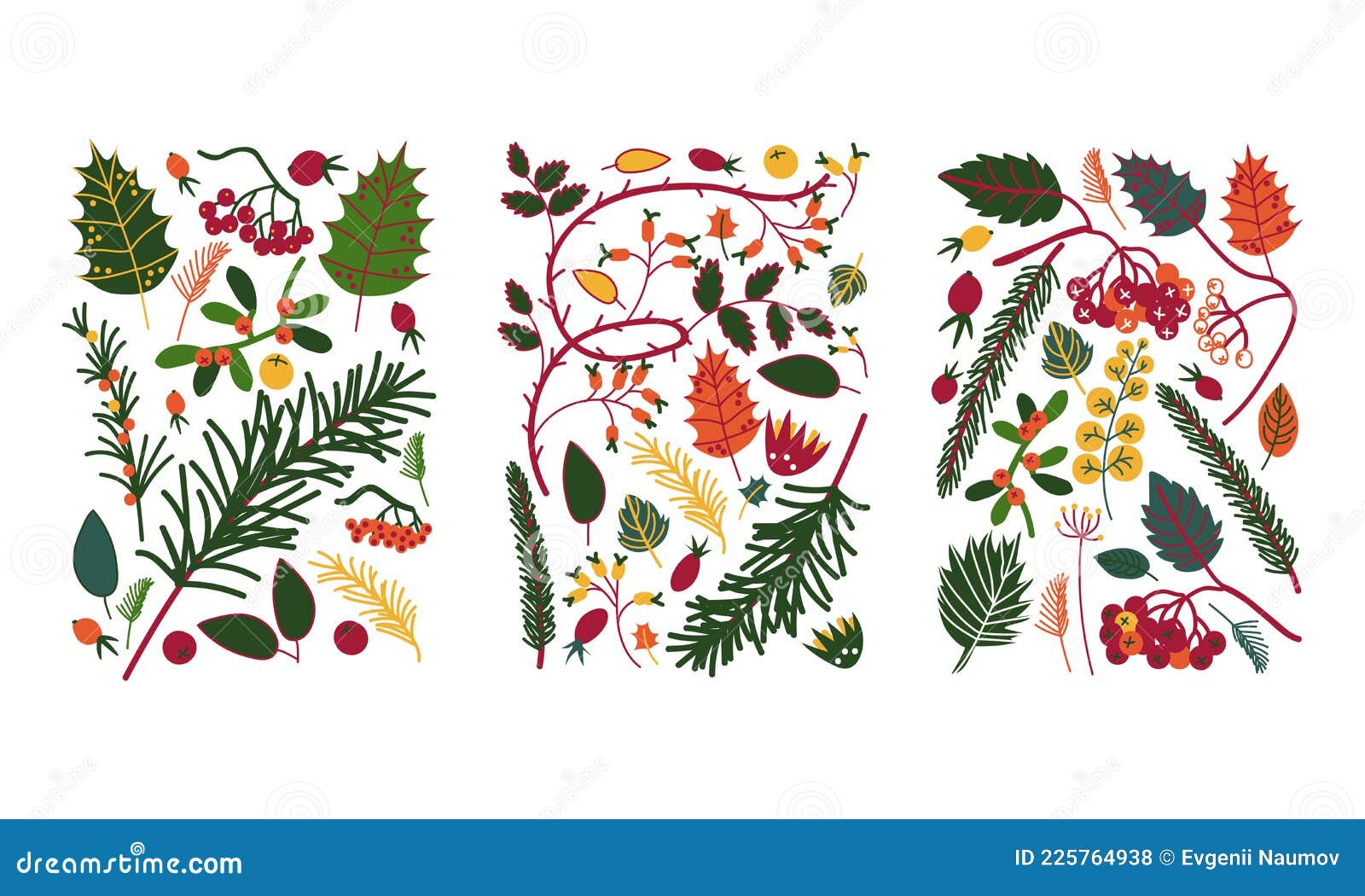 Floral Doodle Rectangular Shape with Colorful Flowers Vector Set Stock ...
