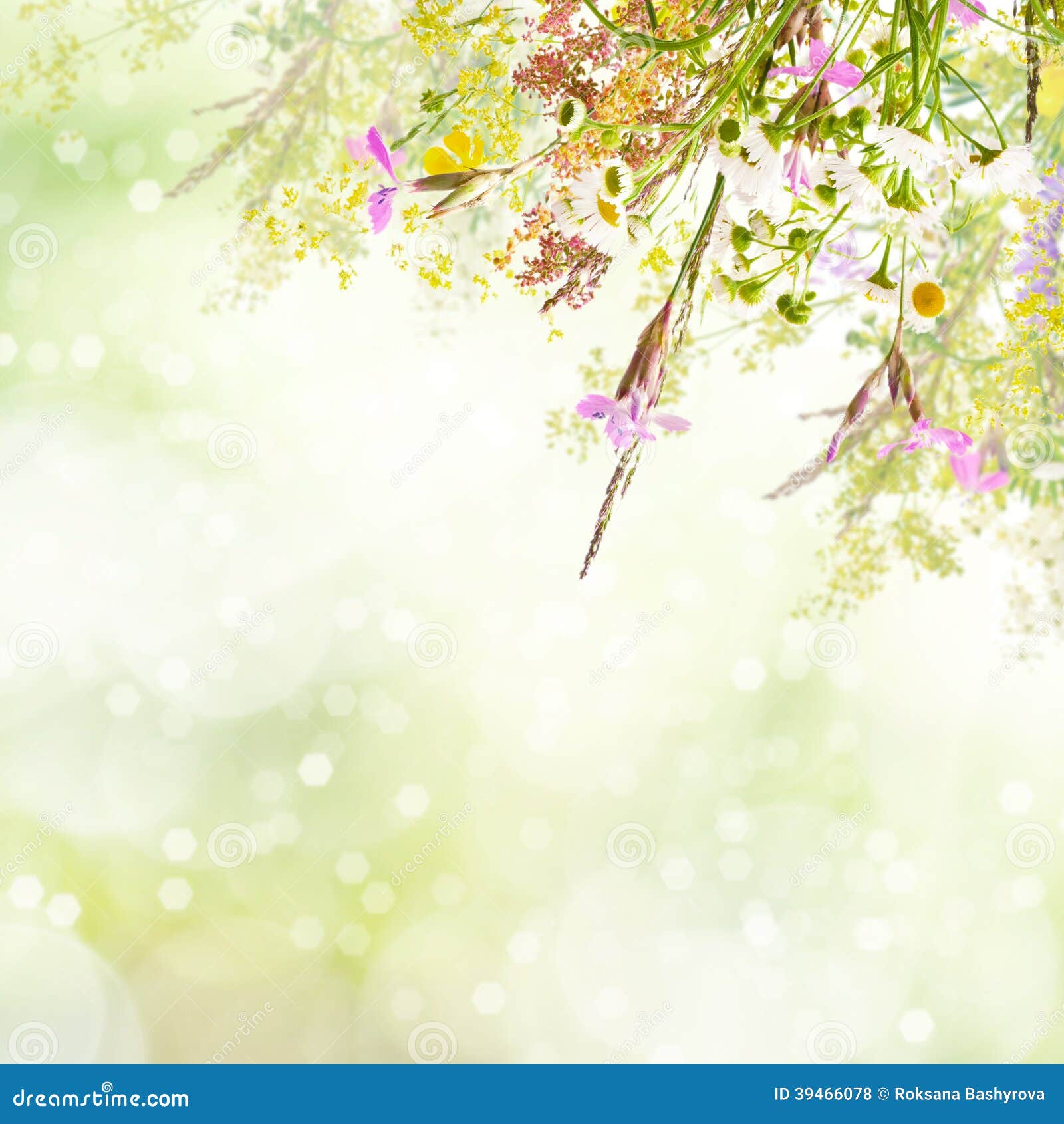 Floral easter background stock photo. Image of blossom - 39466078