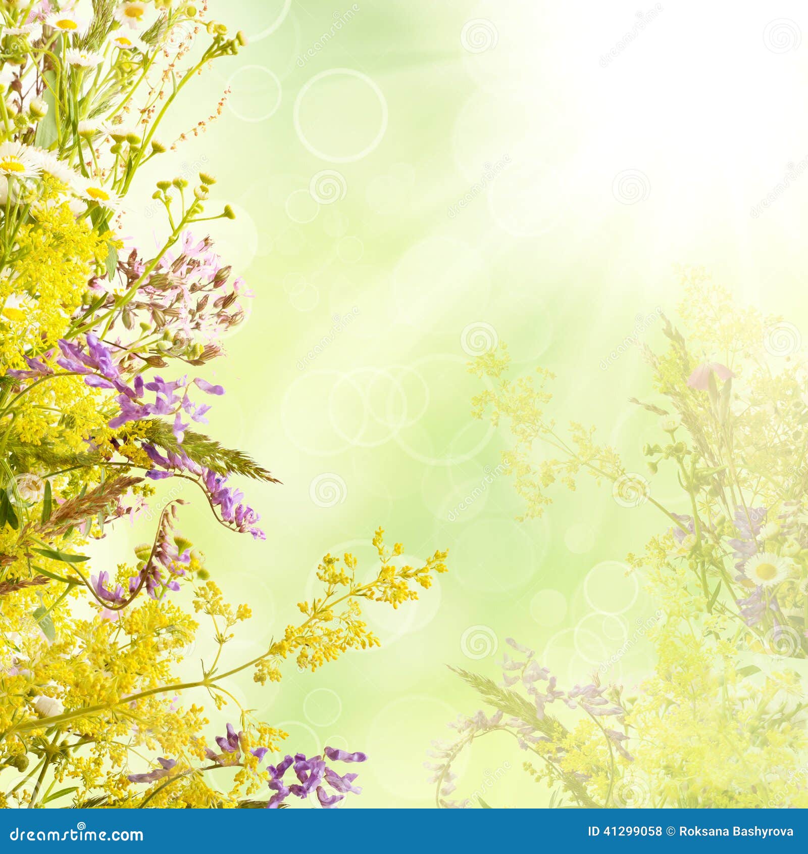 Floral easter background stock photo. Image of color - 41299058