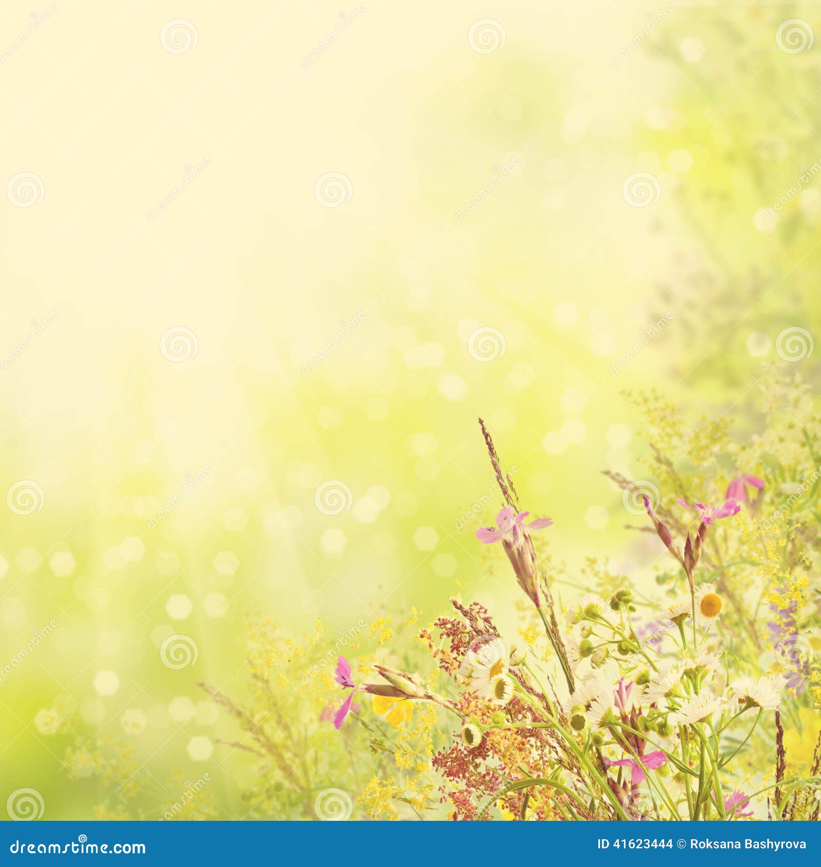 Floral easter background stock photo. Image of easter - 41623444