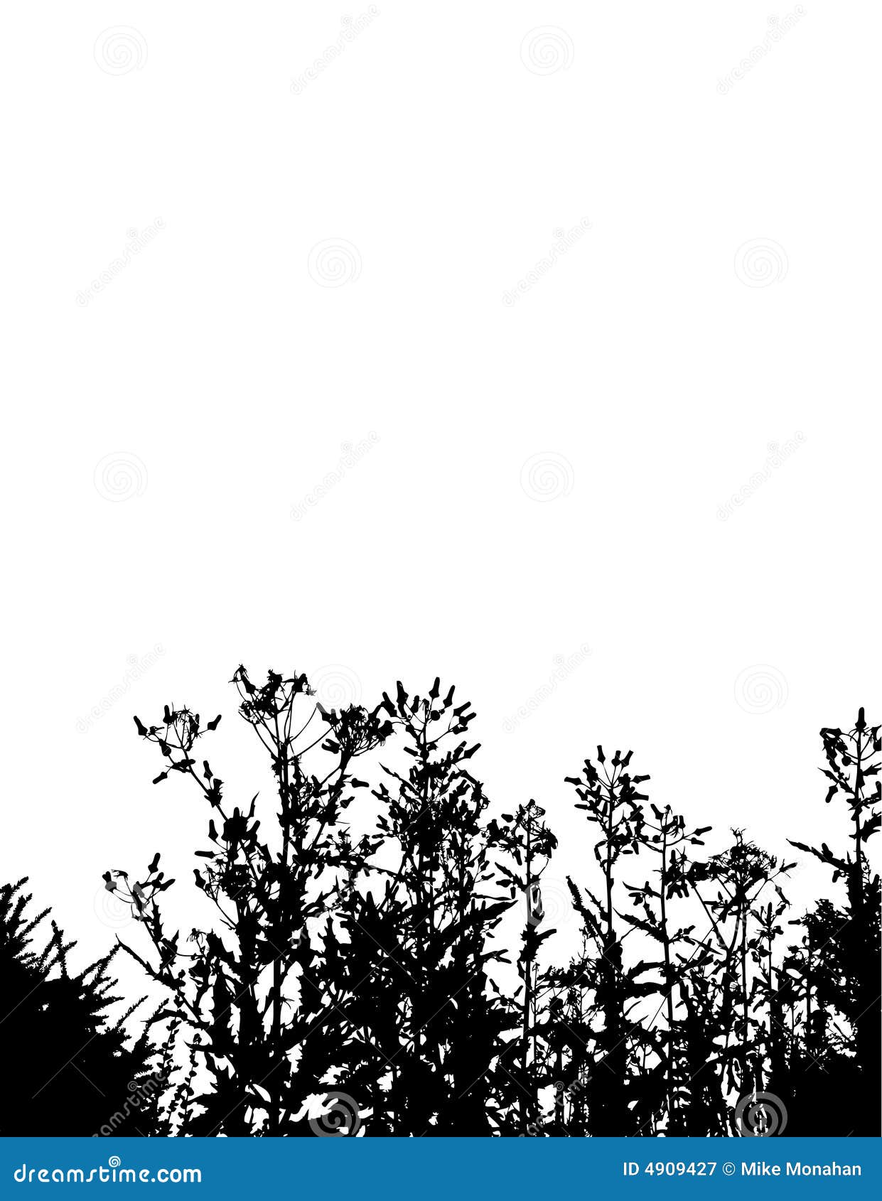 Floral Edge Border stock vector. Illustration of ornamental - 4909427