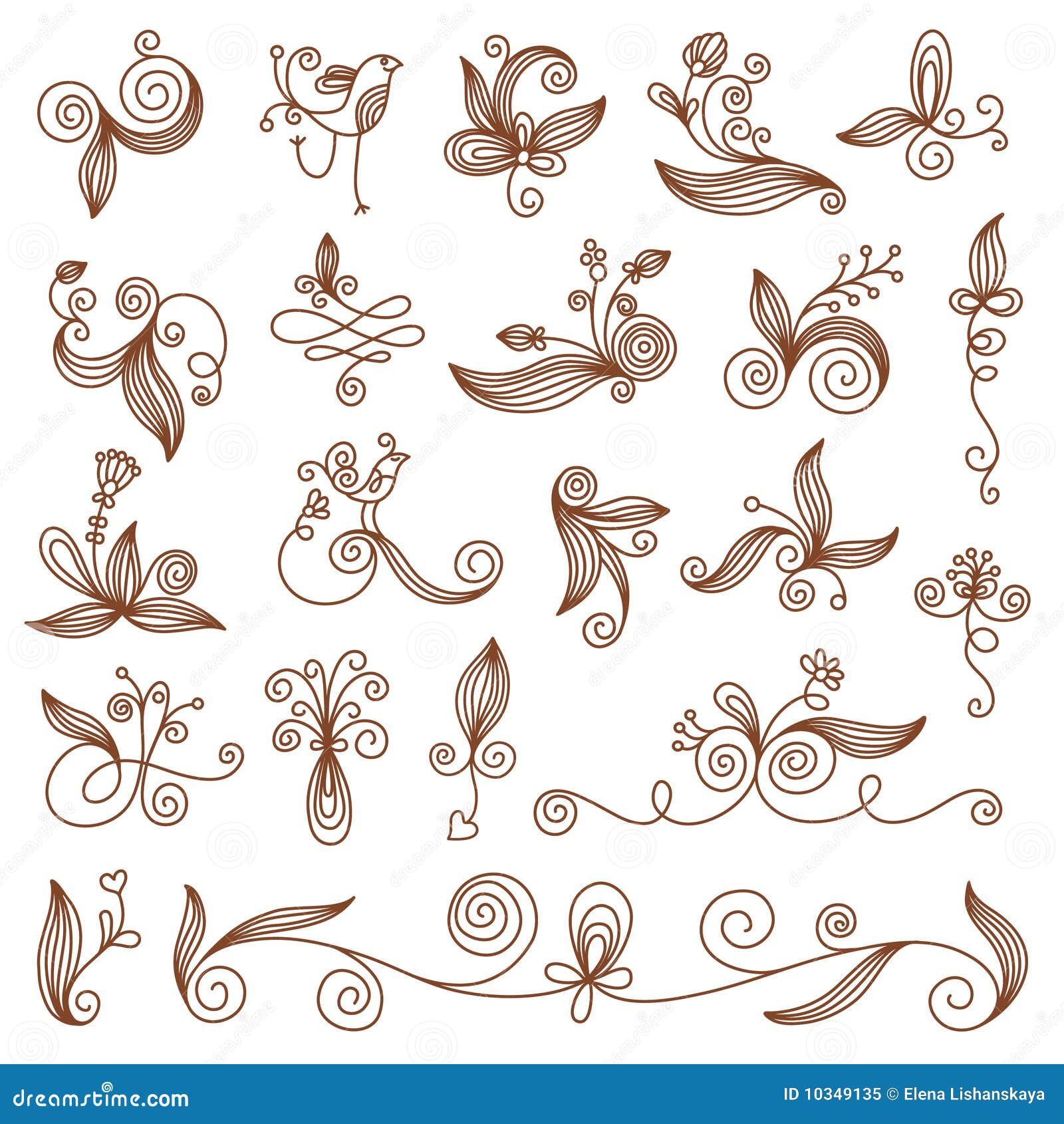 Floral elements stock vector. Illustration of floral - 10349135