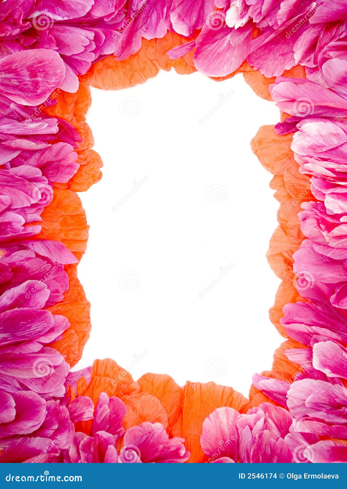 Floral frame stock illustration. Illustration of design - 2546174