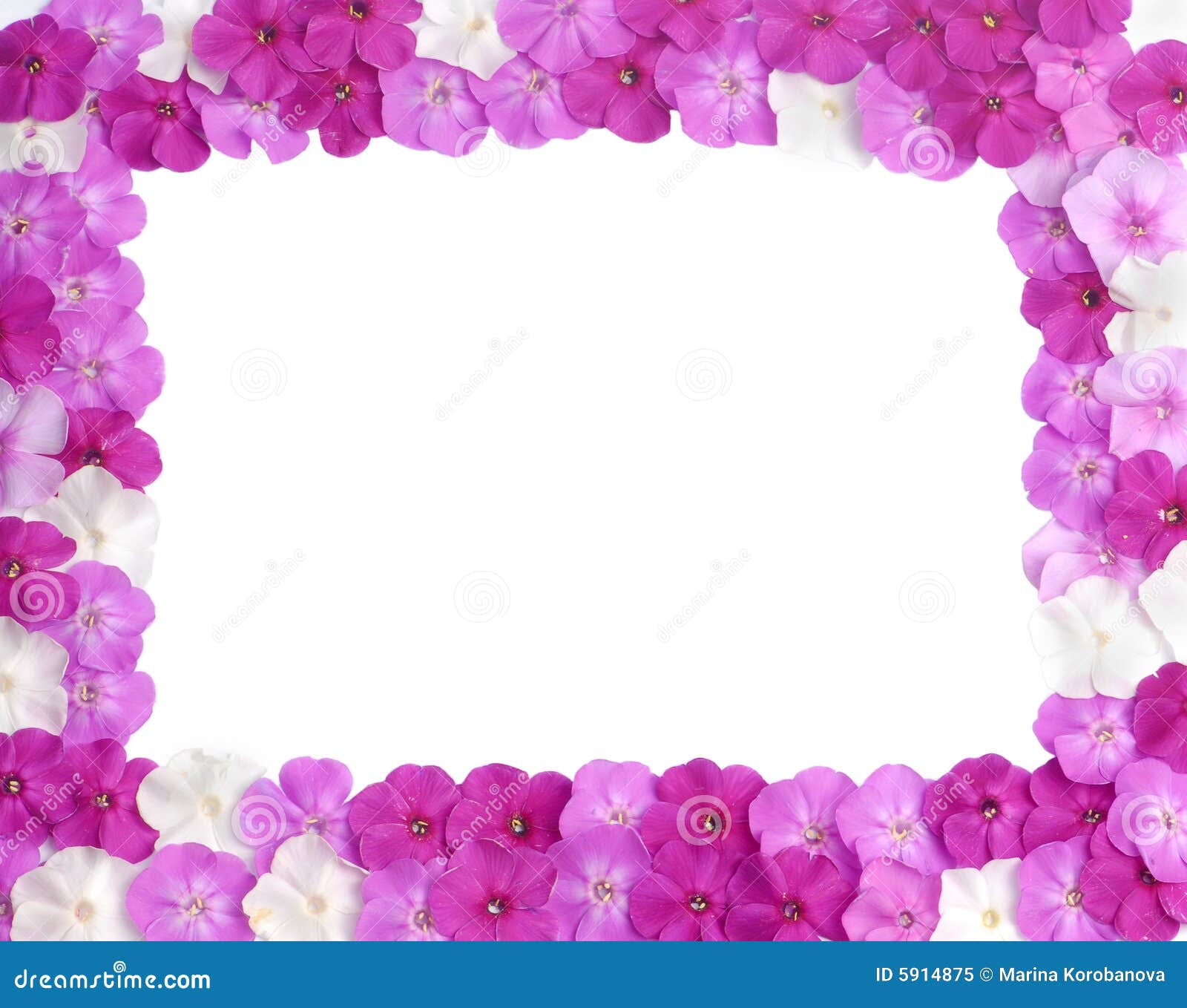 Floral frame stock image. Image of love, frame, flower - 5914875