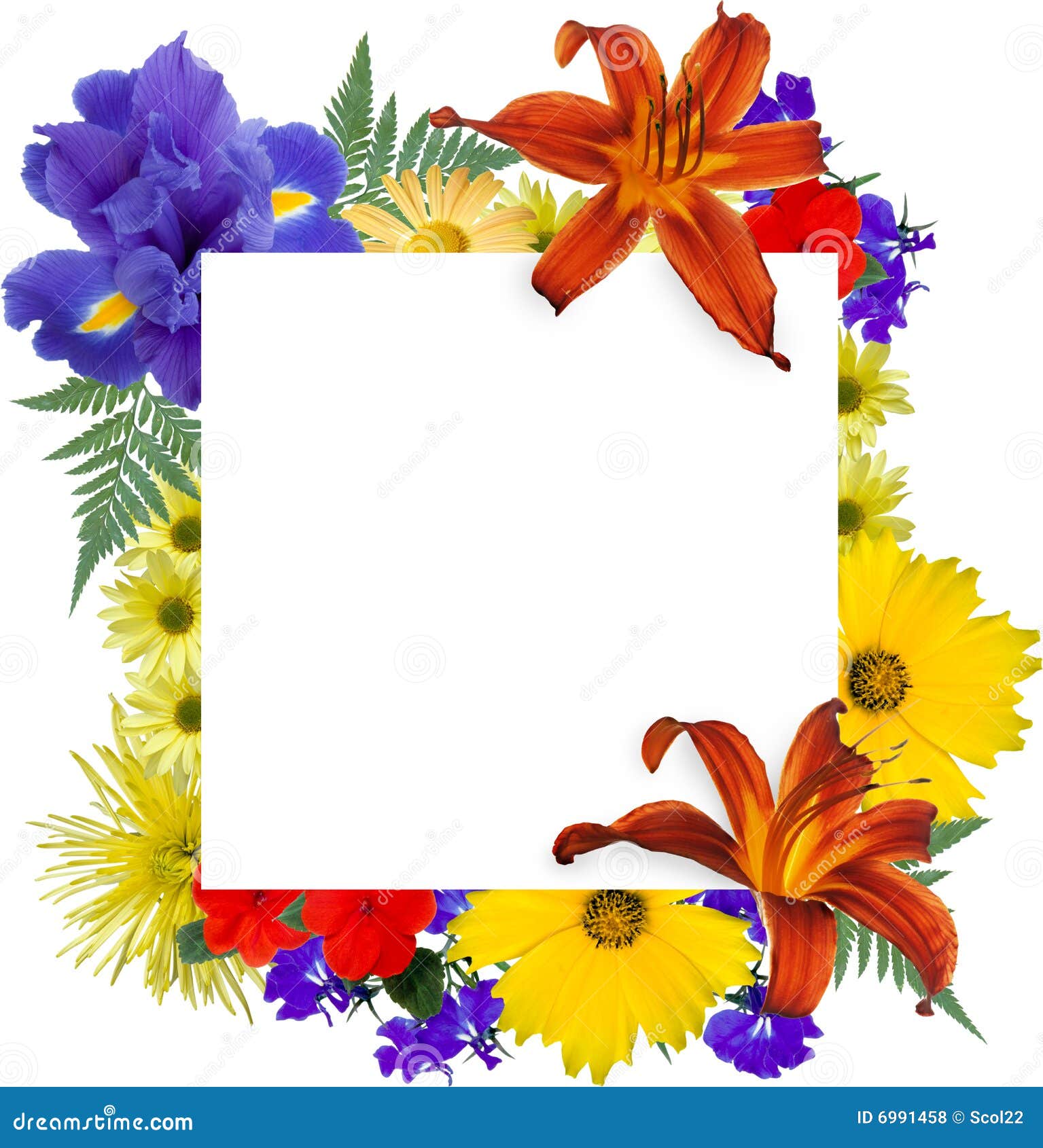 Floral Frame stock photo. Image of garden, bloom, bunch - 6991458
