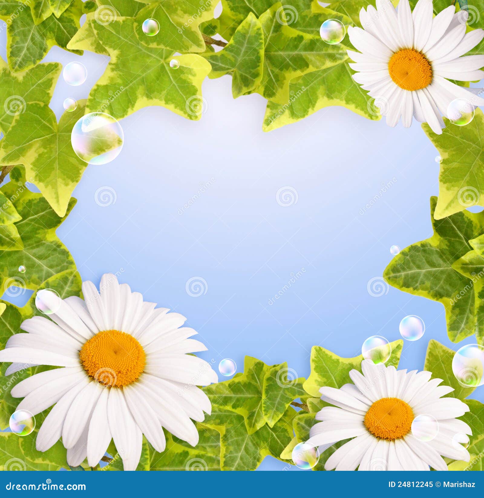 Floral frame and bubbles stock illustration. Illustration of chamomiles ...