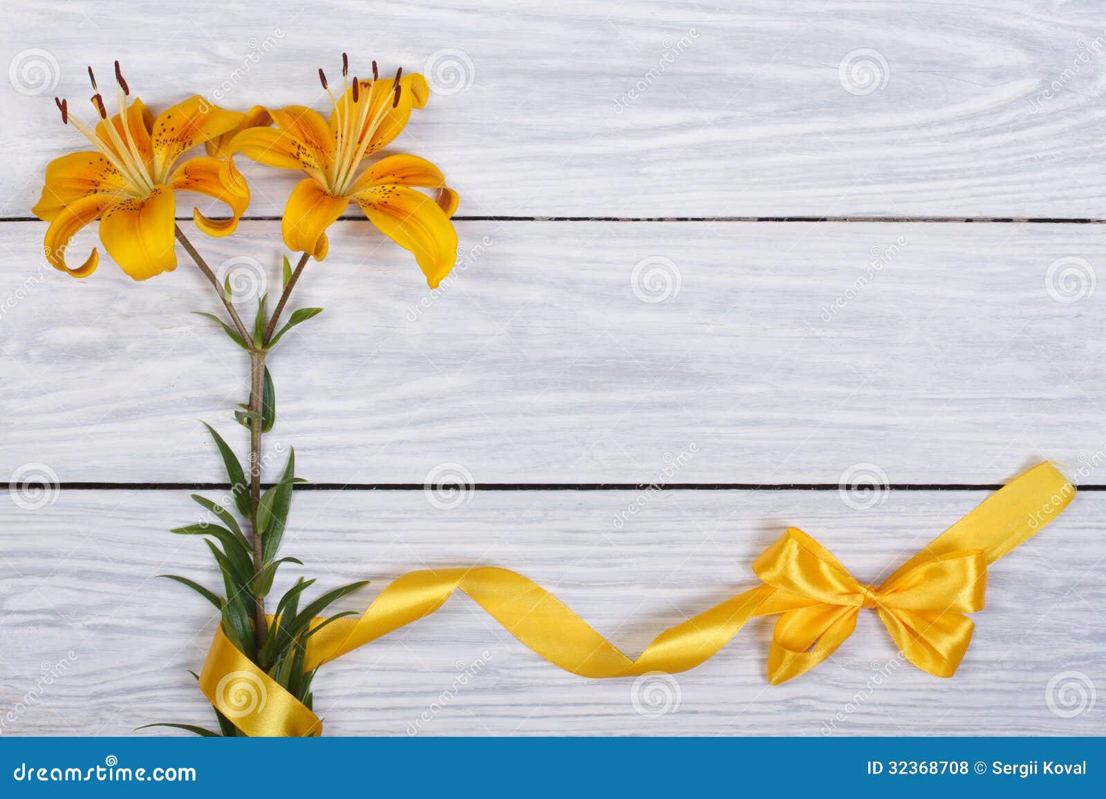 Floral Frame from Flowers Yellow Lily and Ribbons Stock Photo - Image ...