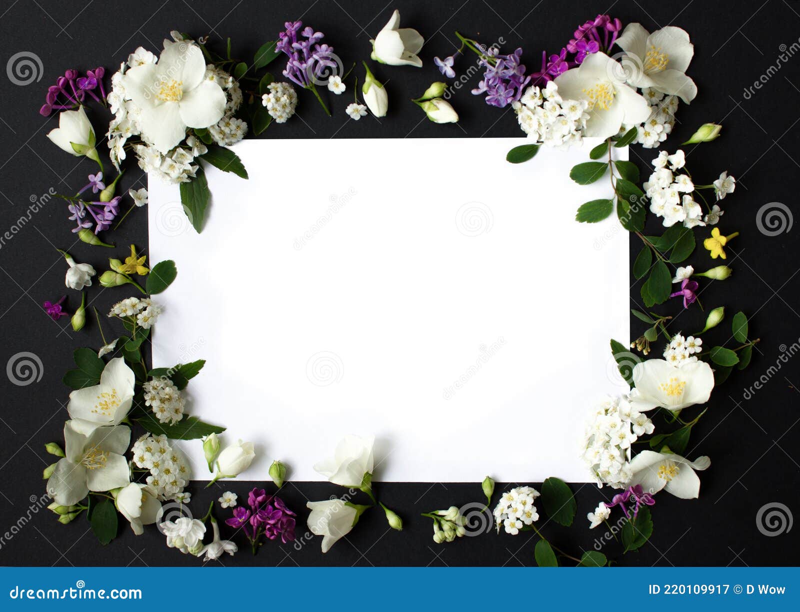 Floral Frame Made of Different Spring Flowers on Black Background ...
