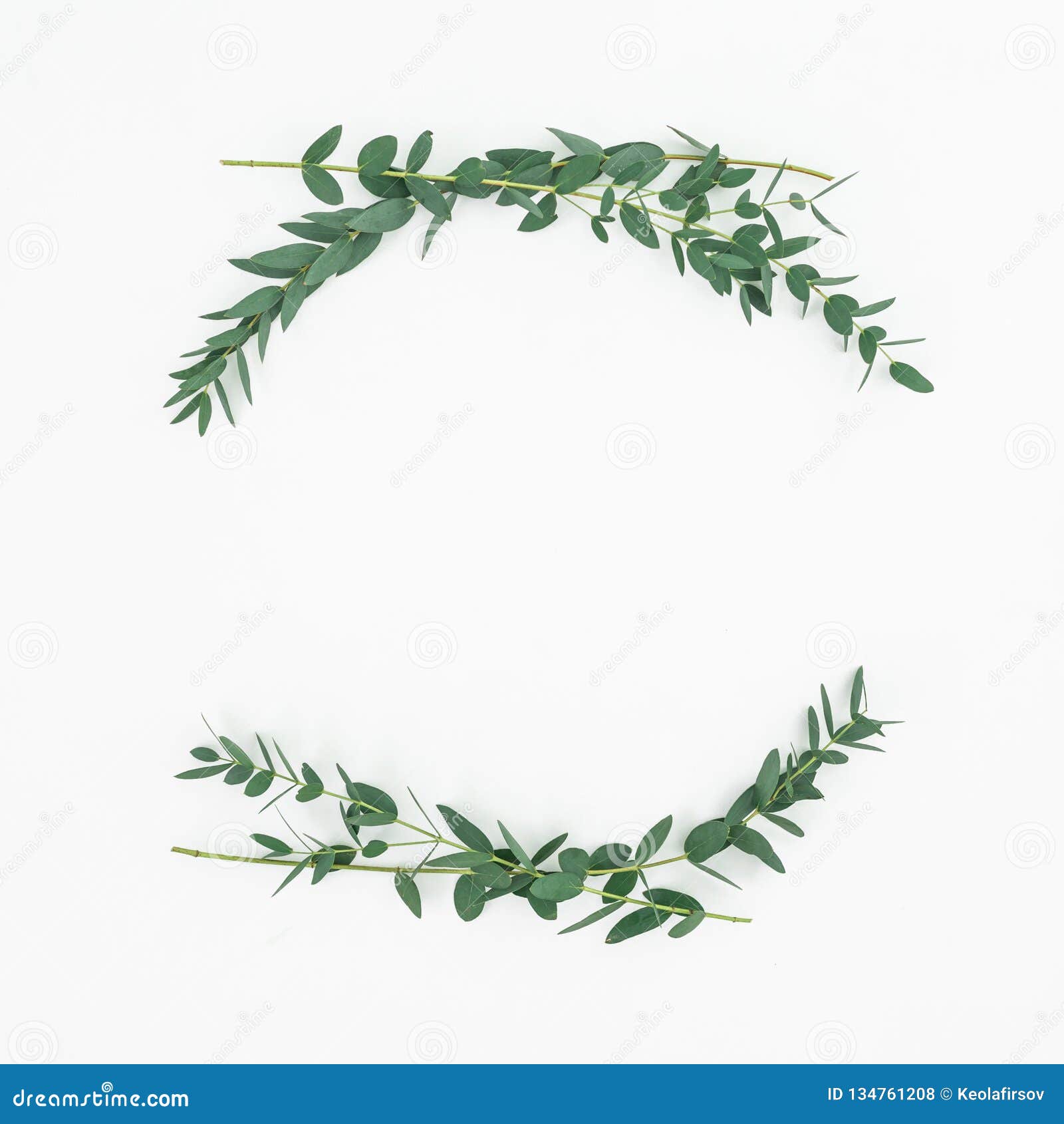 Floral Frame Made of Eucalyptus Branches on White Background. Flat Lay ...