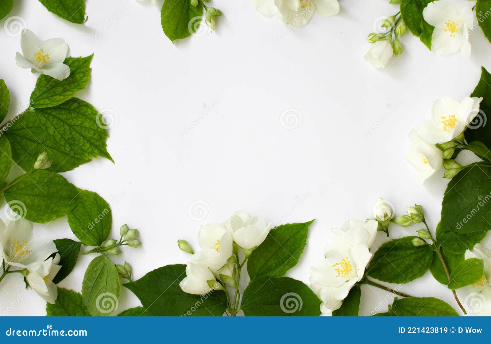 Floral Frame Made of Jasmine Flowe Isolated on White Background Flowers ...