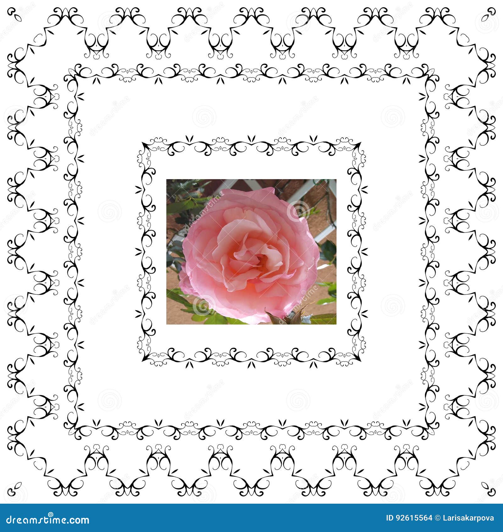 Floral Frame Retro Lovely Rose in Decorative Frame Vintage Style Stock ...