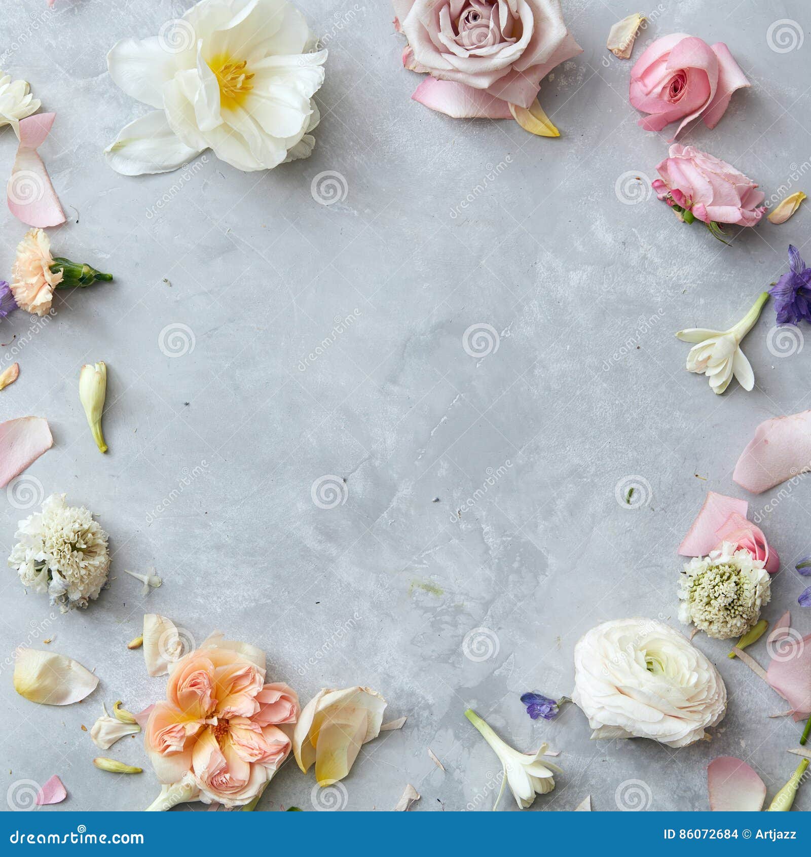 Floral frame with roses stock photo. Image of blossom - 86072684