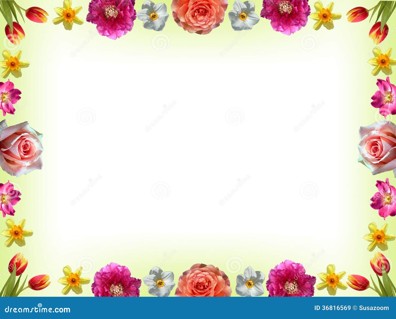 Floral Frame with Spring Flowers Stock Image - Image of tulips, frame ...