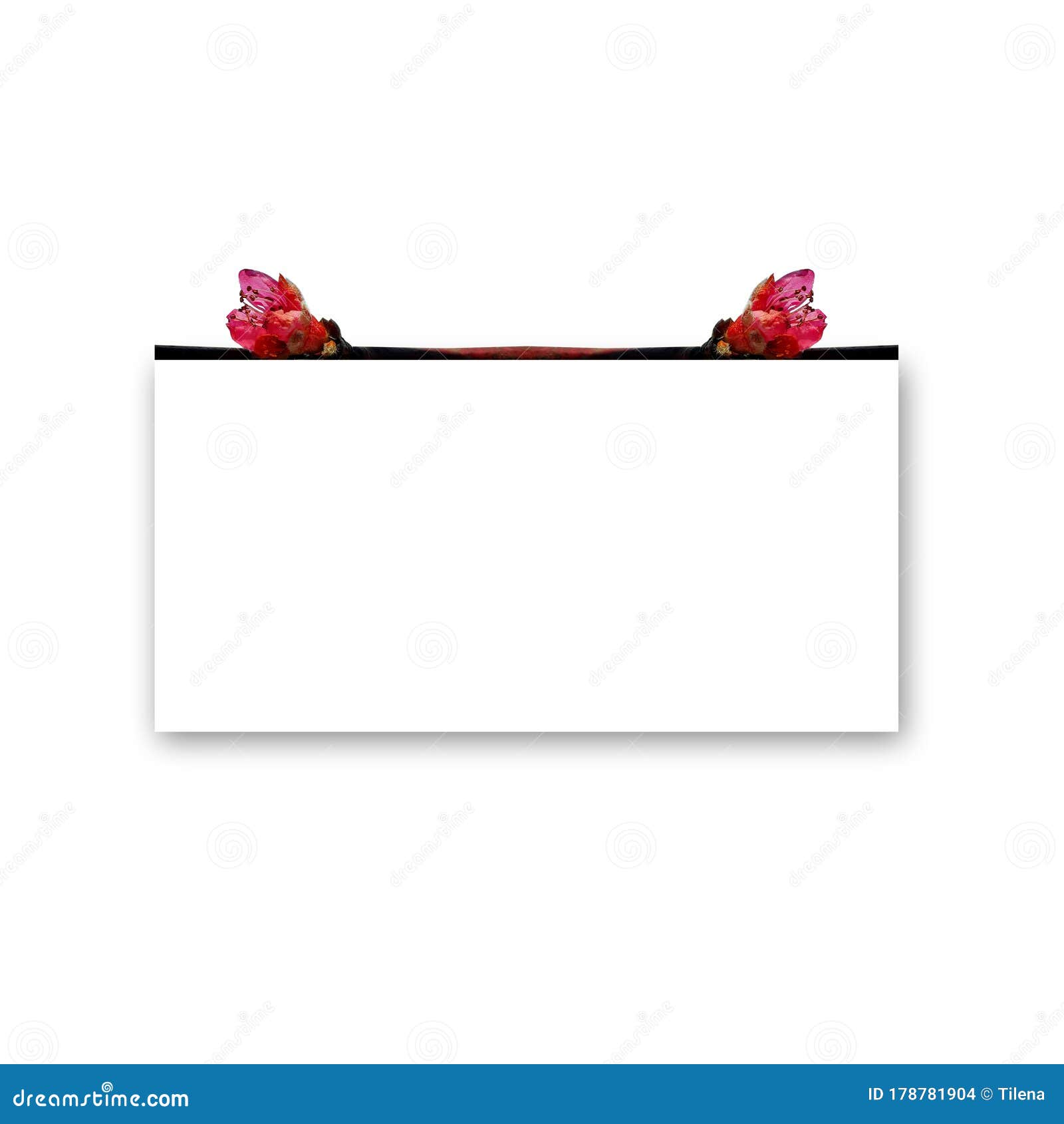 Floral Frame at the Top of a Rectangular Shape Stock Photo - Image of ...