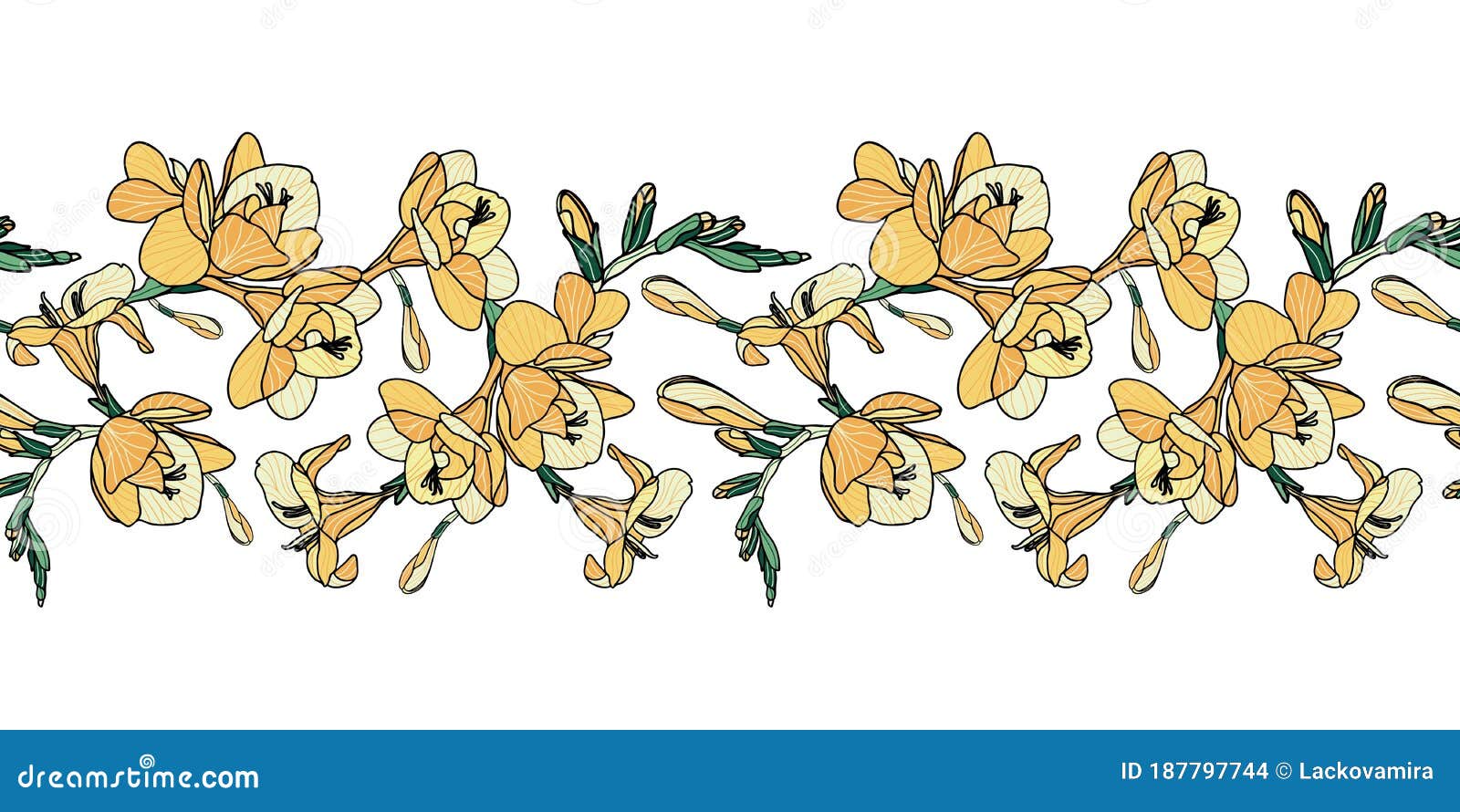 Freesia Flowers. Elegant Seamless Horizontal Border with Hand Drawn ...