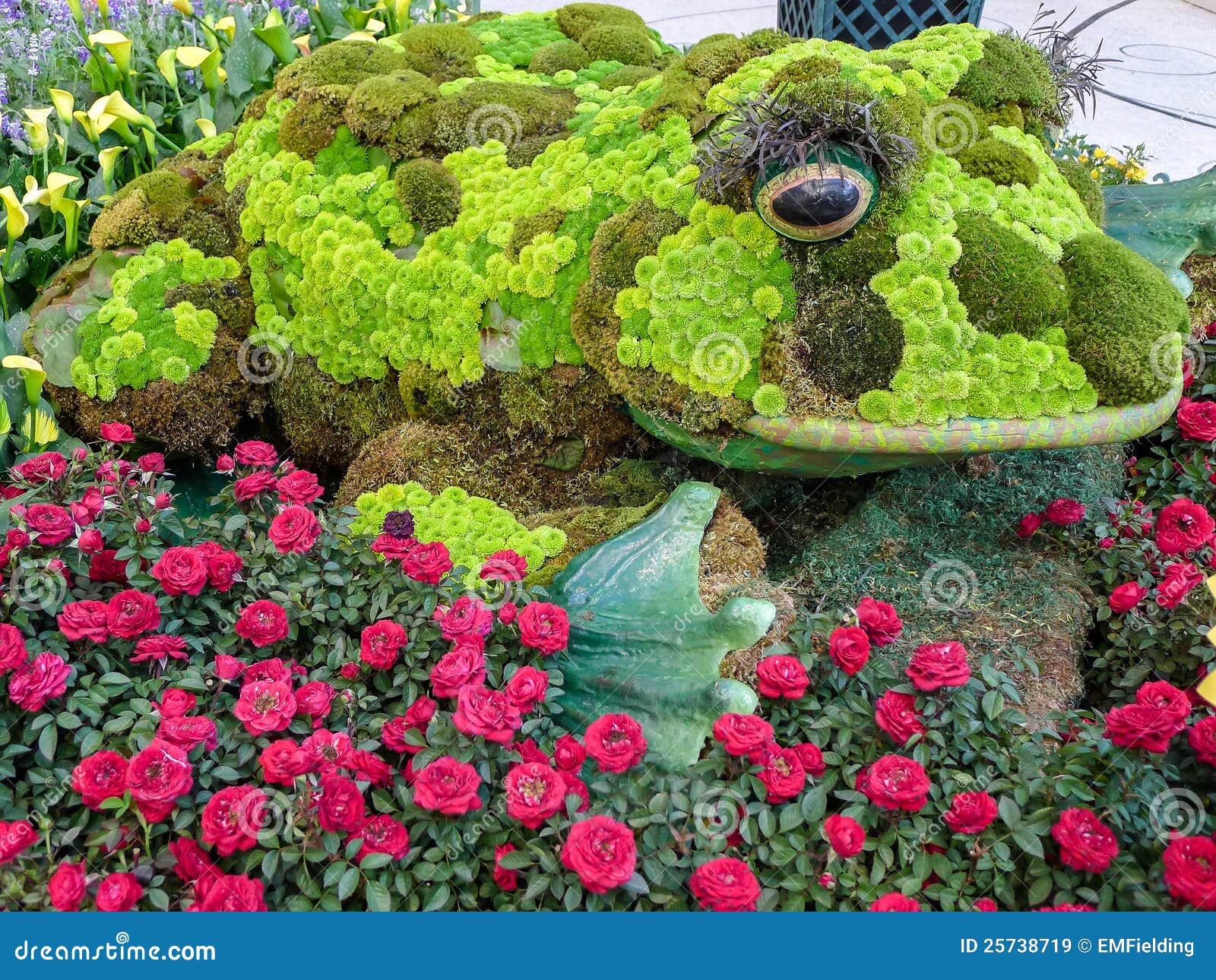 Floral Frog Display stock image. Image of garden, sculpture - 25738719