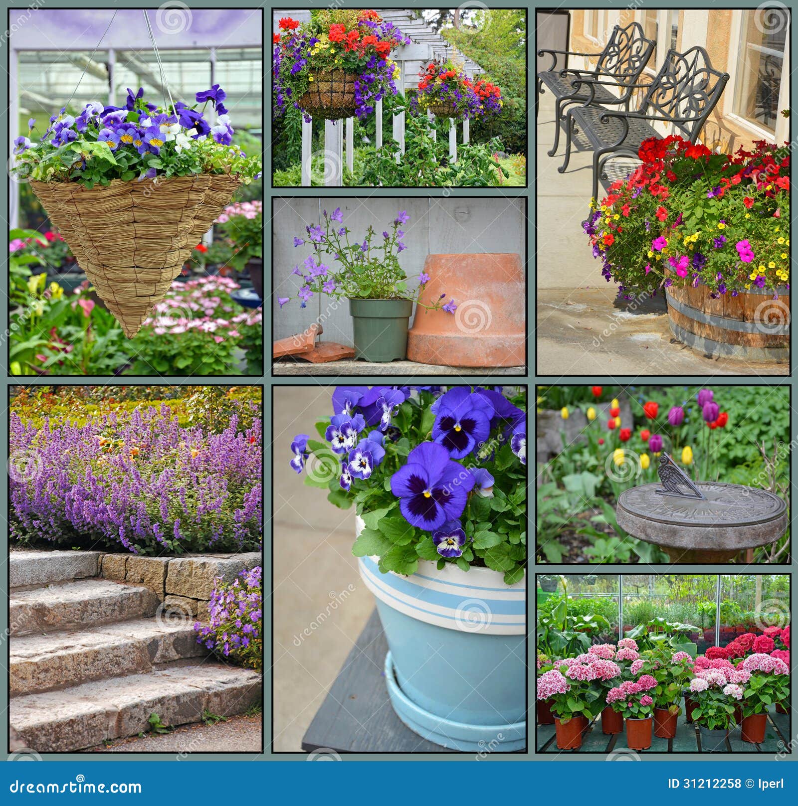 Floral garden collage stock photo. Image of outdoors - 31212258