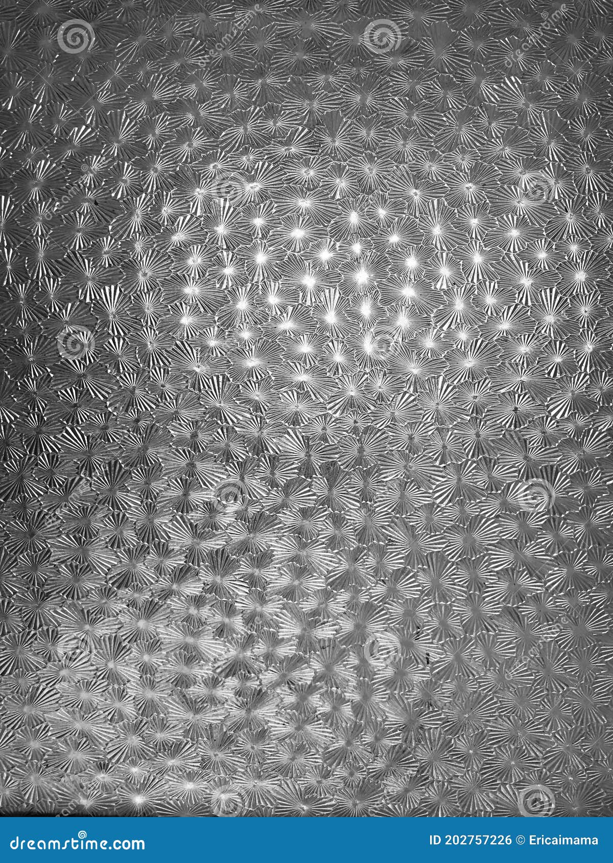 Floral Glass Texture, Back Light. Stock Photo - Image of ideal, classic ...