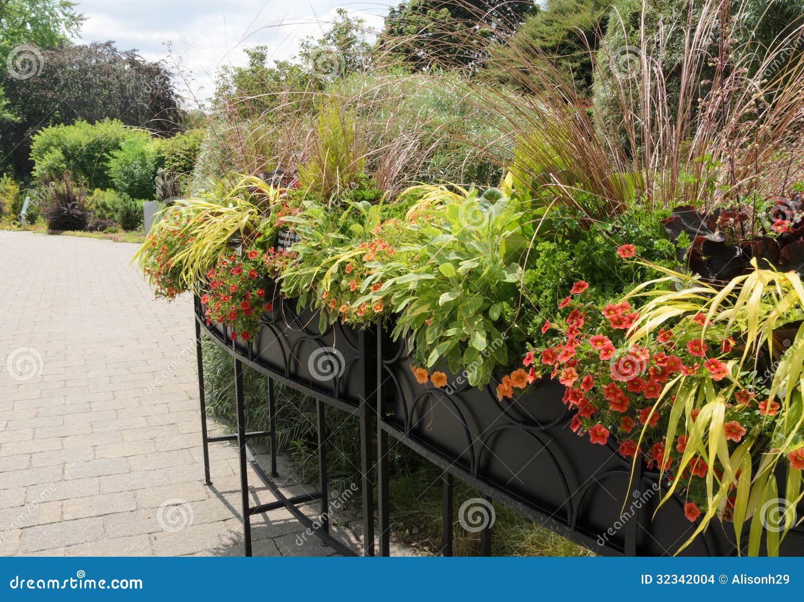 Floral Graden stock photo. Image of gardening, curved - 32342004