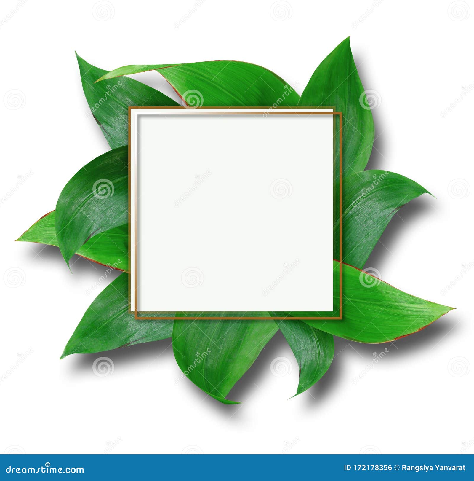 Floral Greenery Card Design Stock Illustration - Illustration of card ...