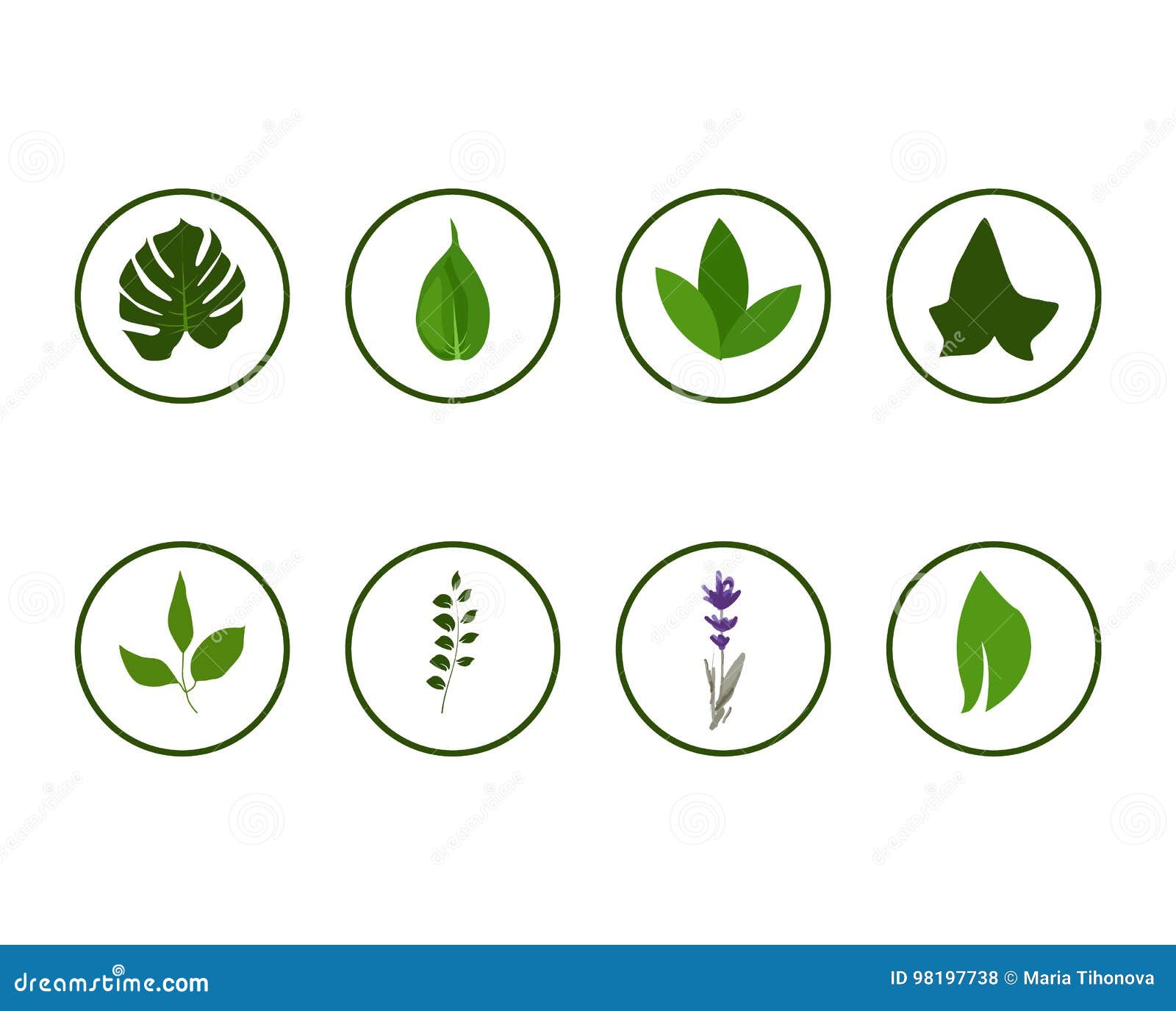 Floral Greenery Icons in Circle Stock Vector - Illustration of grass ...