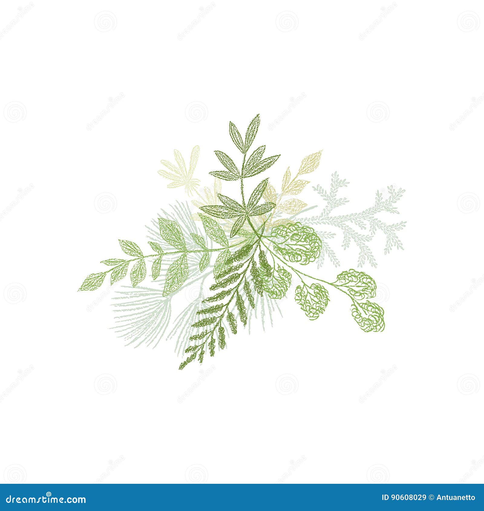 Floral Hand Drawn Composition, Plant Leaves Cartoon Vector ...