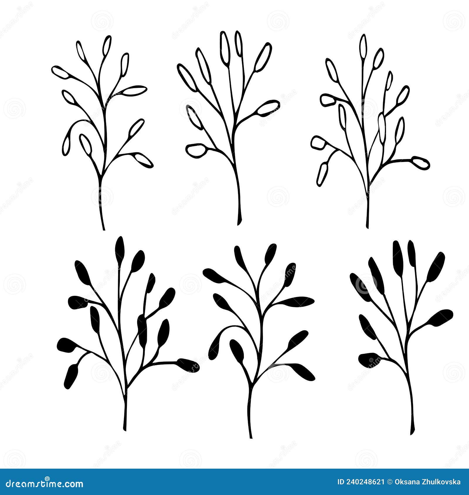 Floral Ink Hand Drawn Elements, Isolate on White Background Stock ...