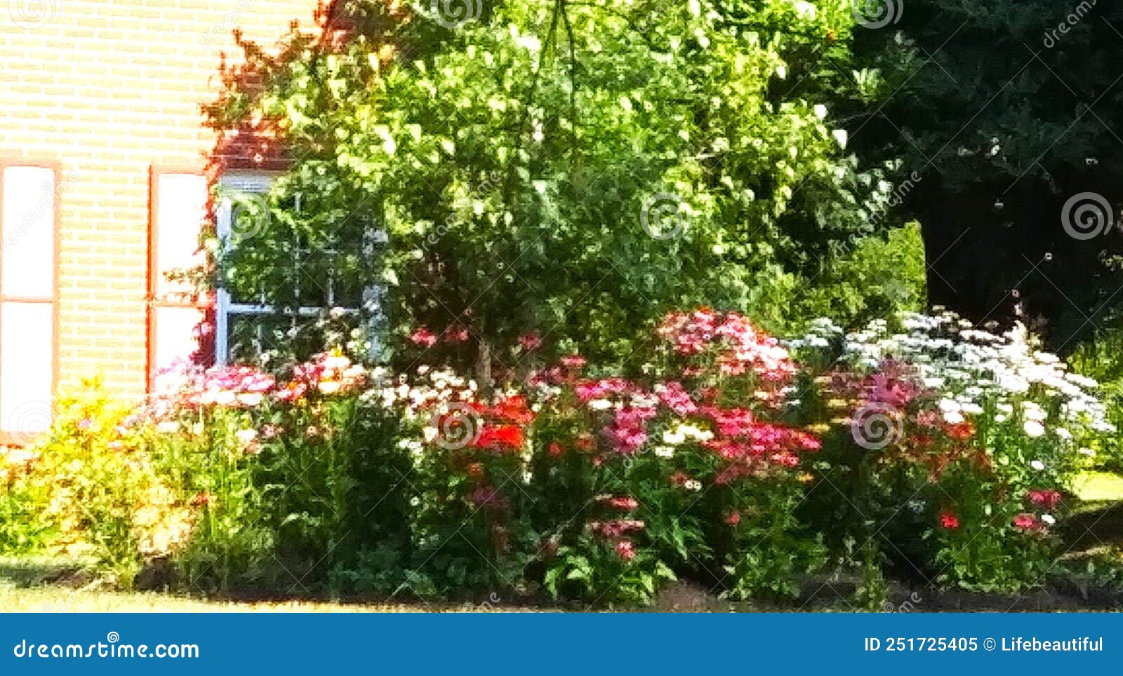 Floral landscape stock image. Image of produce, flower - 251725405