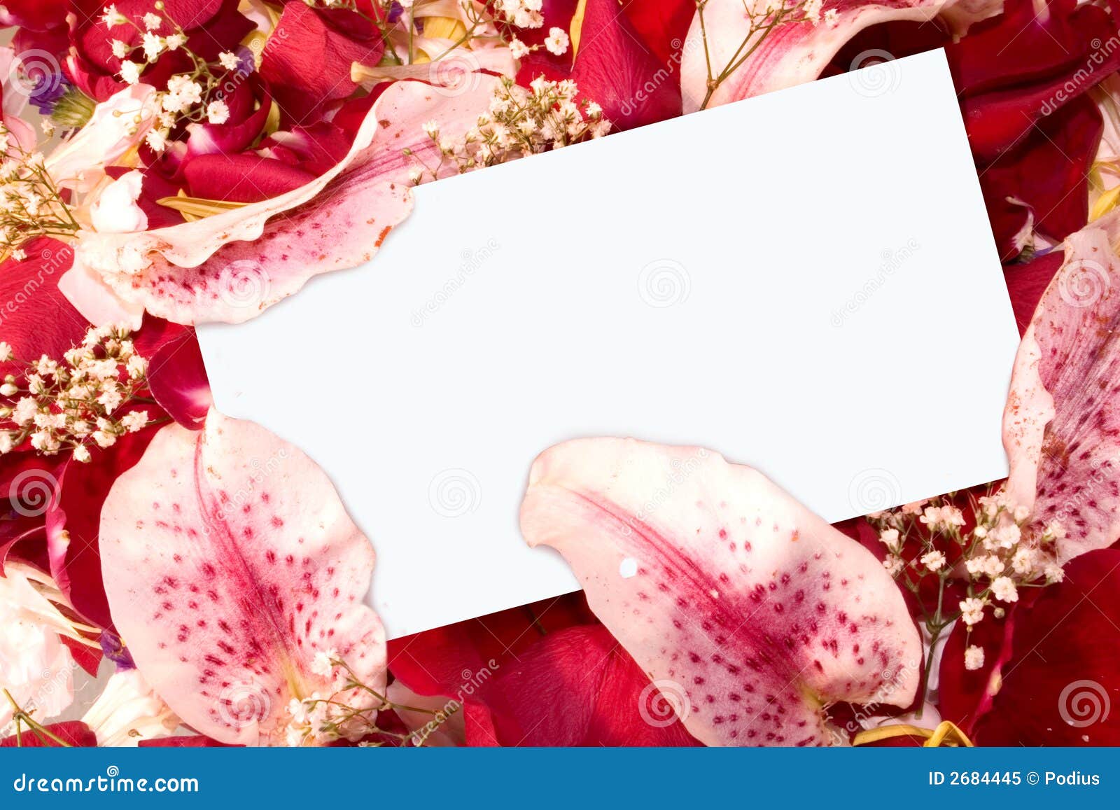 Floral Note stock image. Image of white, message, blank - 2684445
