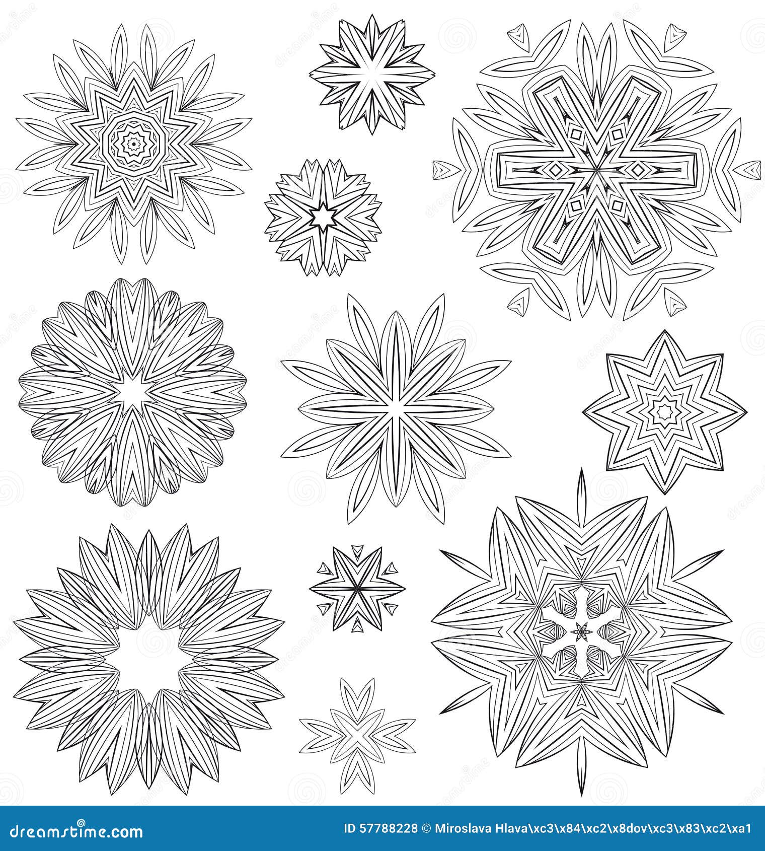 Floral Ornament Pattern stock vector. Illustration of nature - 57788228