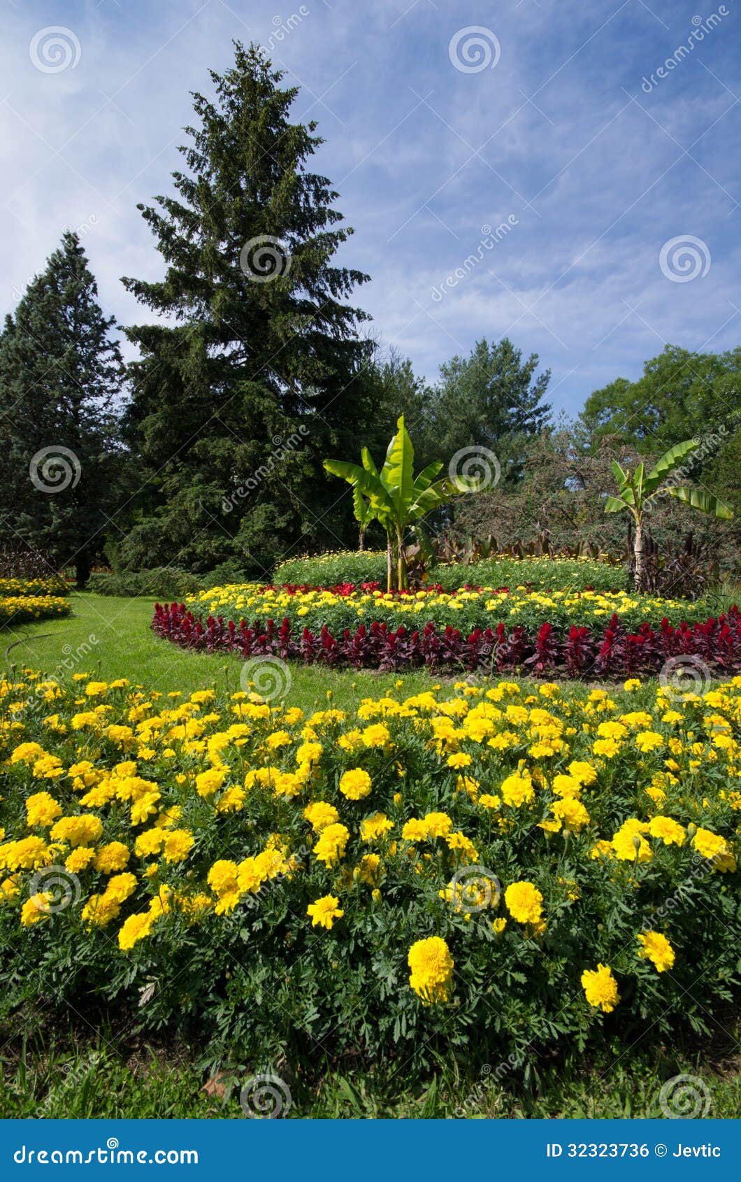 Floral park stock photo. Image of holiday, arranged, color - 32323736