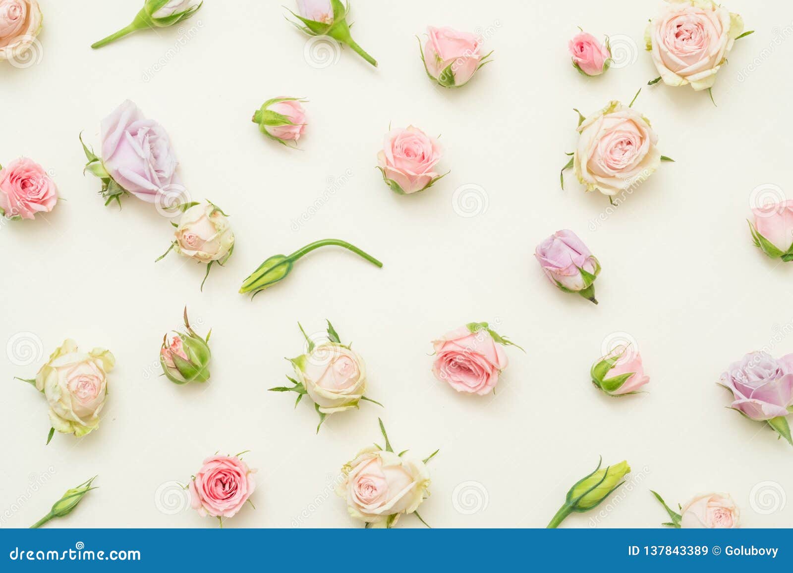 Floral Pattern Assorted Roses Ivory Background Stock Image - Image of ...